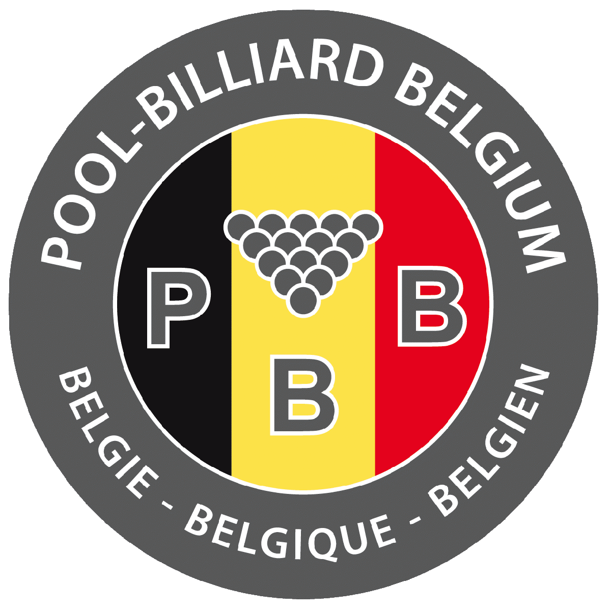PBB BK 8 BALL 2019 (U21) | Pool-Billiard Belgium